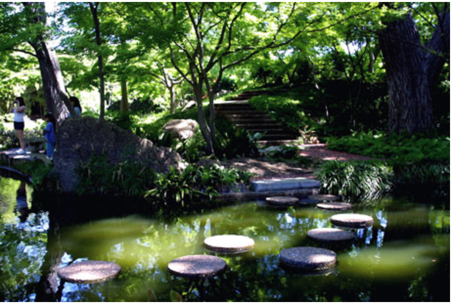 Japanese Texans | TX Almanac