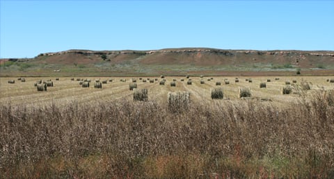 Donley County | TX Almanac