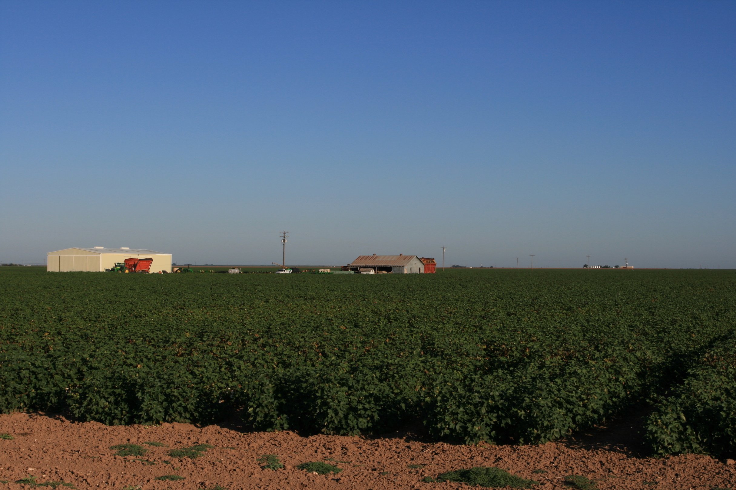 Glasscock County | TX Almanac
