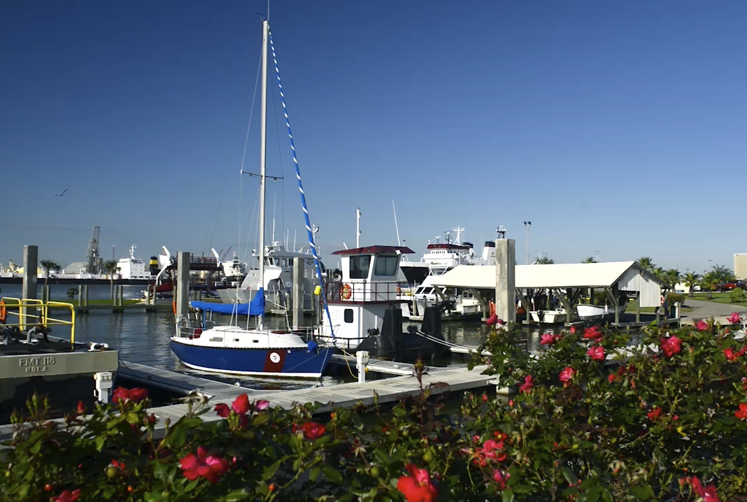 Texas A&M University System | TX Almanac